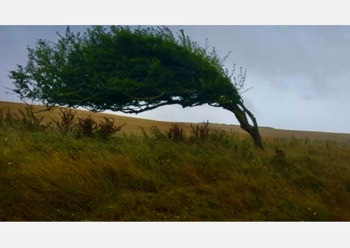 Hard werken – EN DAN VERDER